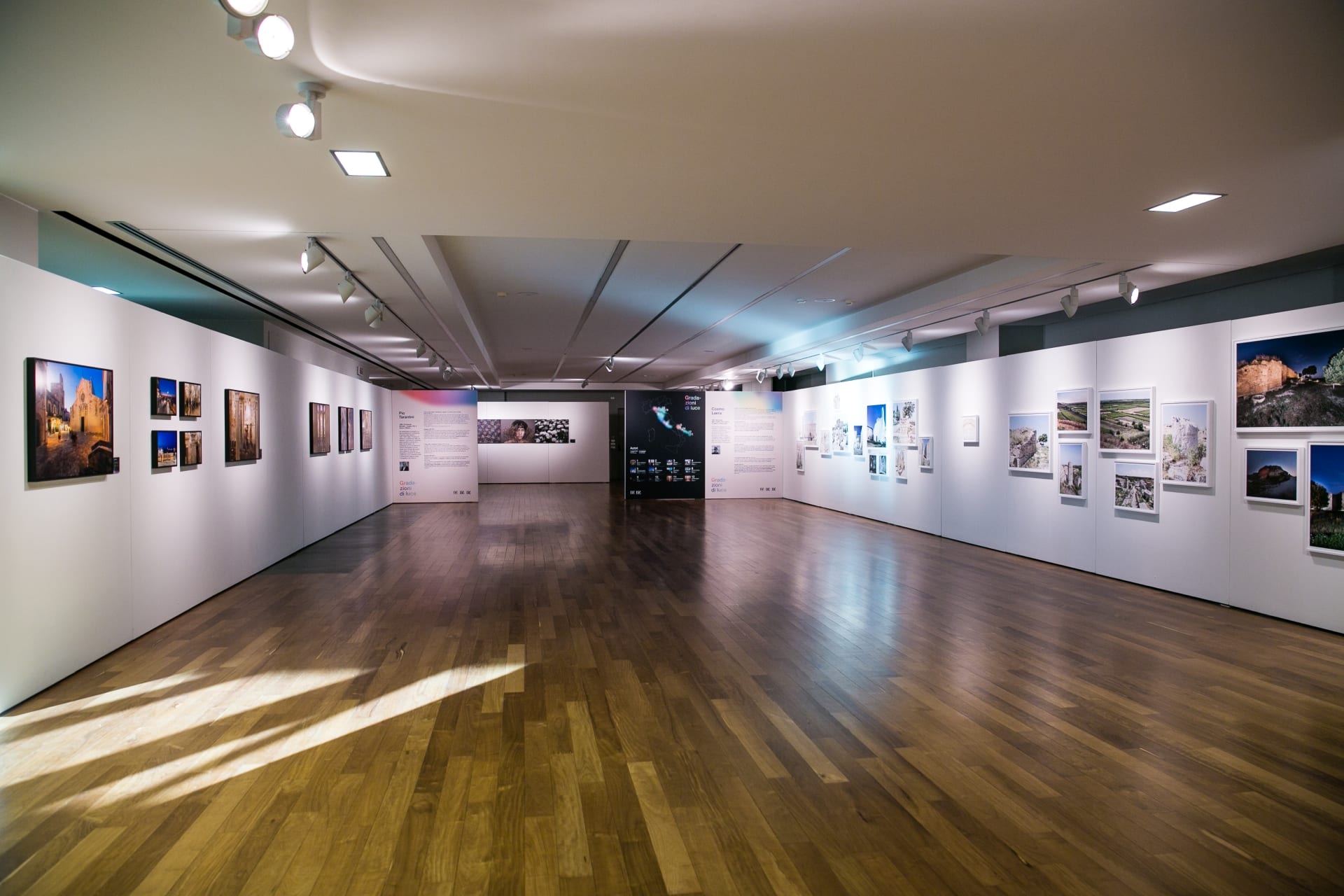 Gradazioni_opere_dz-65 - Fondazione Dino Zoli